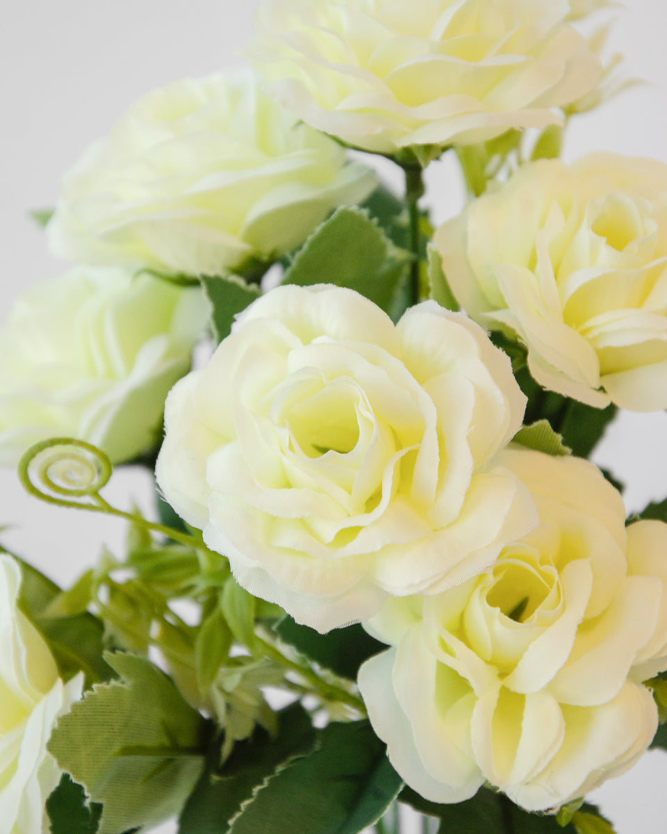 SWEET ROSE BUSH X7 CREAM- 7163CR (Box of 120) – Reliance Trading ...