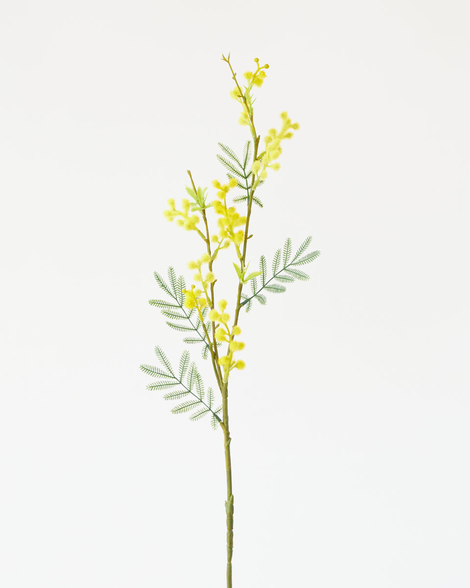 WATTLE SPRAY YELLOW 64CM - 5274 (Box of 24) – Reliance Trading Corporation