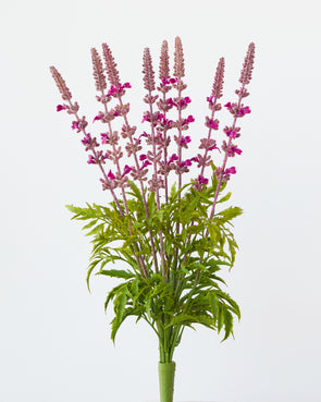 Greenery – Reliance Trading Corporation